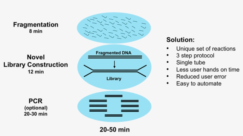 Solution - - Diagram Transparent PNG - 864x440 - Free Download on NicePNG