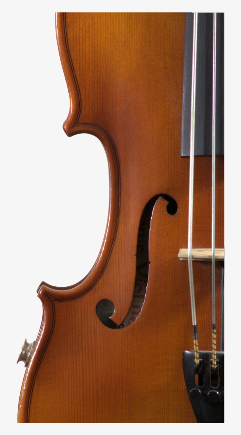 Octave Fhole - Viola Transparent PNG - 1000x1600 - Free Download on NicePNG