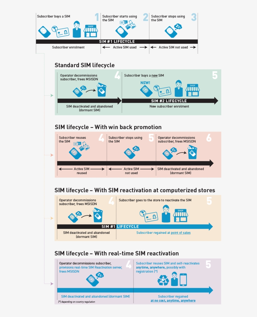 4 Sim Lifecycles Overview - Sim Lifecycle Transparent PNG - 600x963 ...