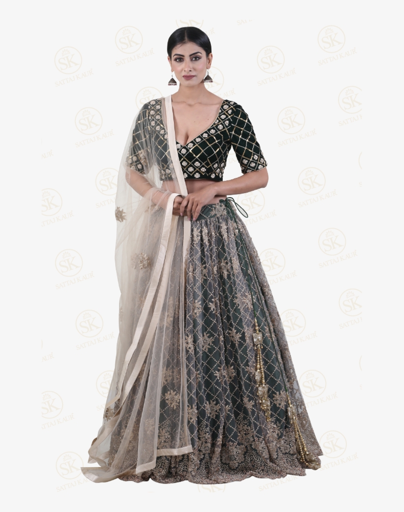 Night Garden Lehenga Choli - Photo Shoot Transparent PNG - 651x959 ...