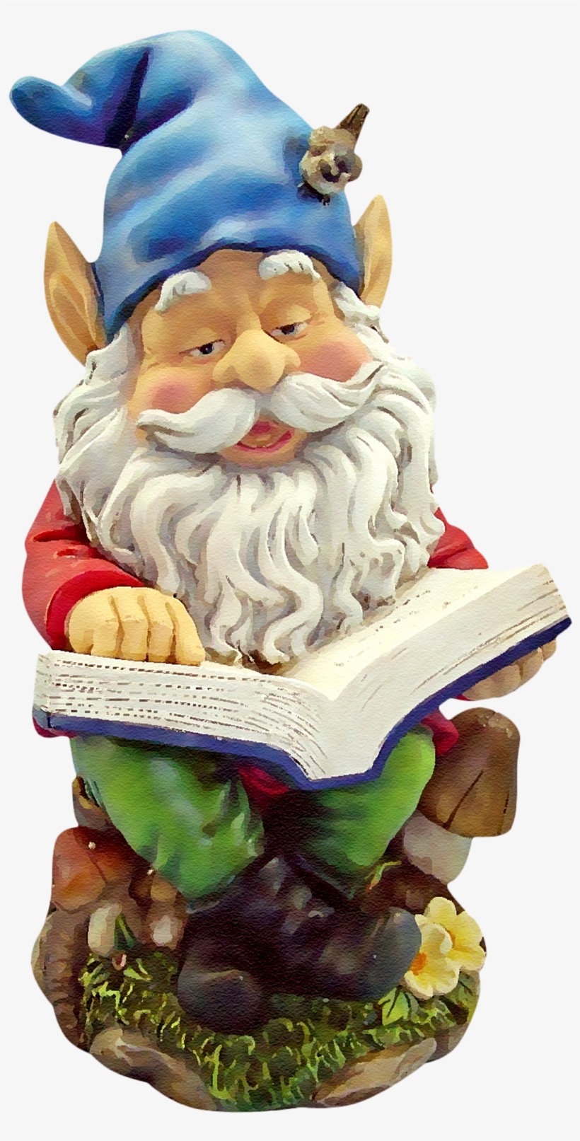 2362 X 2362 2 - Reading Gnome Transparent PNG - 2362x2362 - Free ...