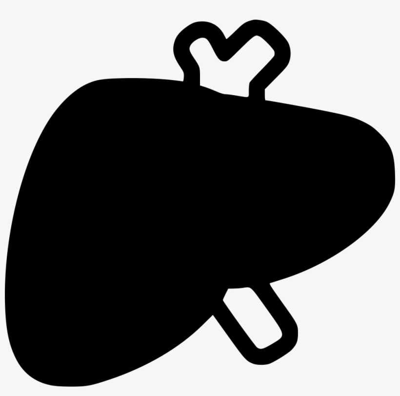 Liver Svg Png Icon Free Download - Icon Transparent PNG - 980x922 ...
