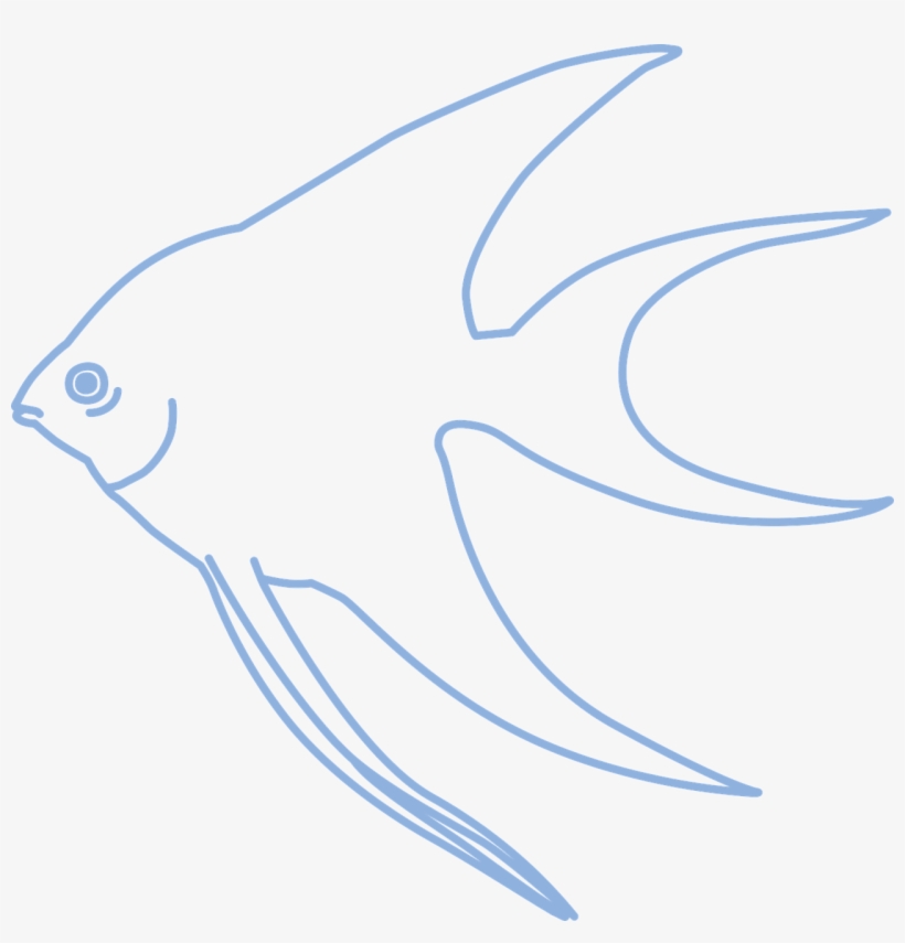 Easy Drawings Of Angel Fish