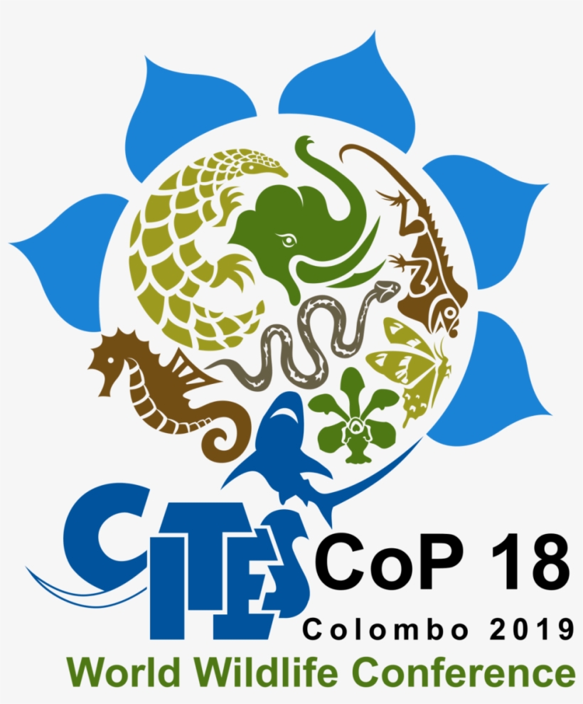Logo Logo Logo Logo - Cites Cop18 Transparent PNG - 1500x1514 - Free ...