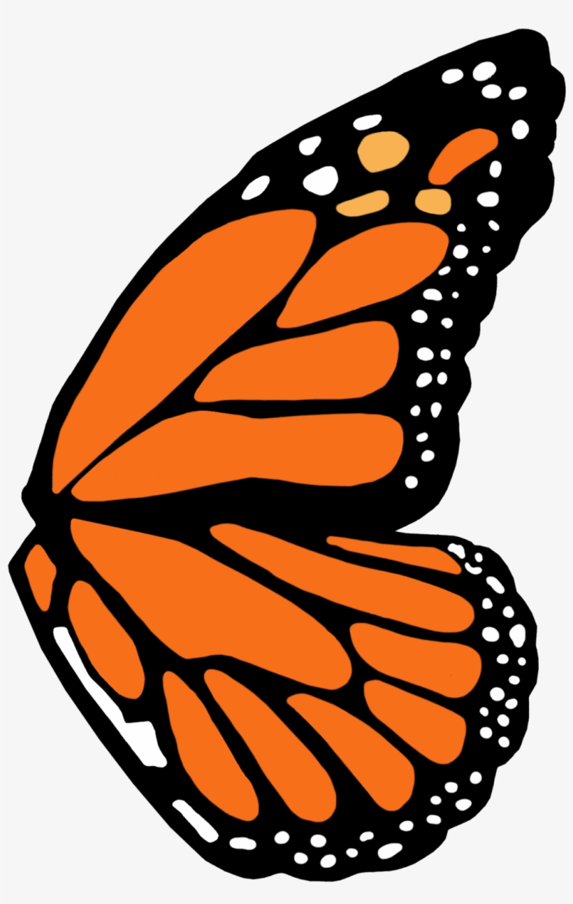 Download Full Left Monarch Butterfly Wing Template - Monarch Butterfly ...