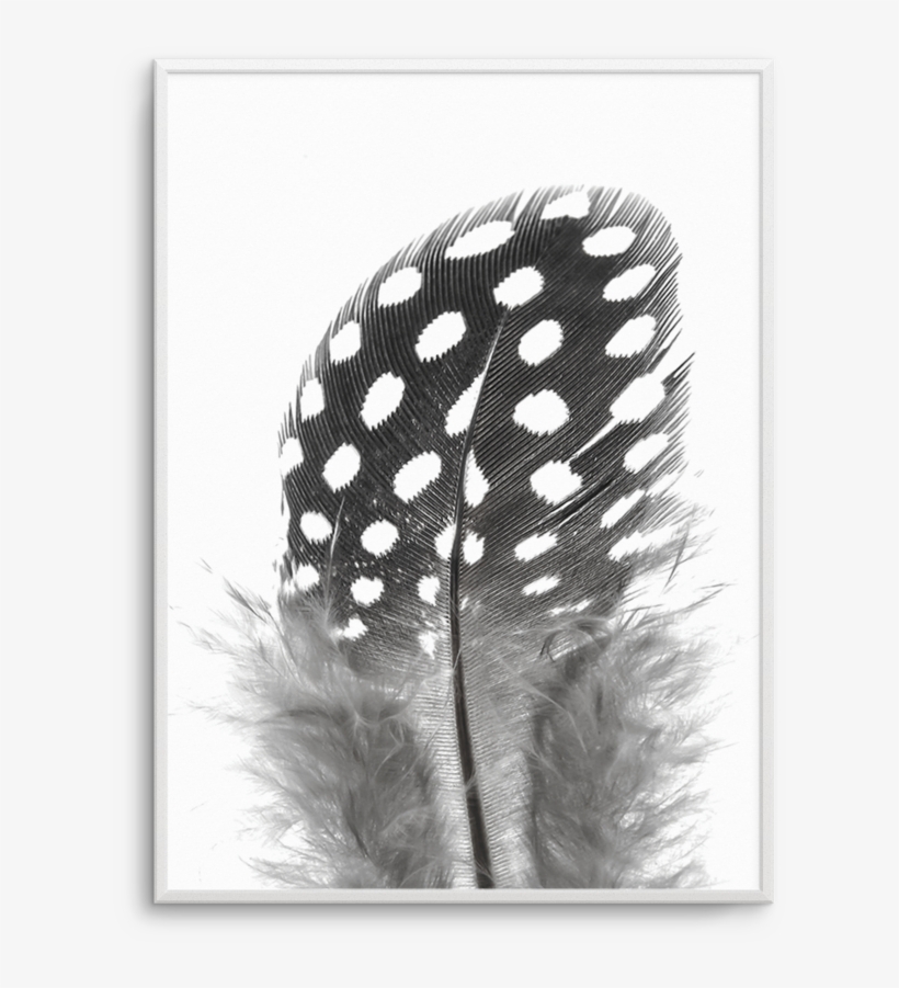 Spotted Feather Transparent PNG - 812x1023 - Free Download on NicePNG