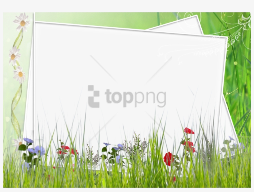 Free Spring Clipart Borders