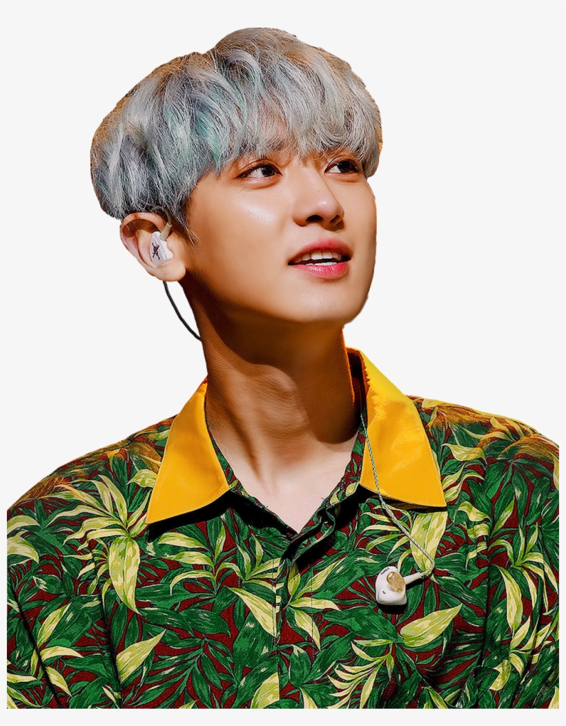 Chanyeol Sticker - Chanyeol Best Pic Hd Transparent PNG - 1024x1263 ...