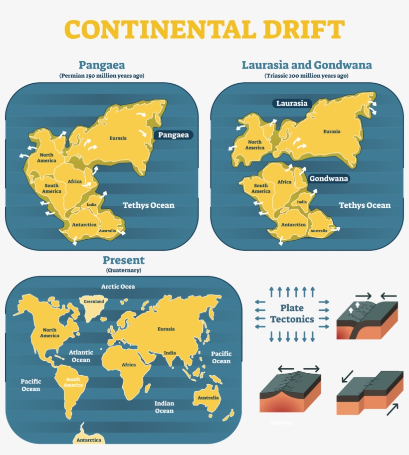 What Is Continental Drift - Laurasia And Gondwanaland Map 200 Mya ...