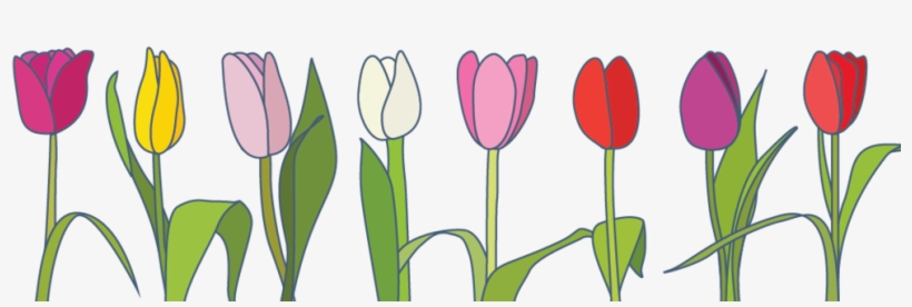 1000 X 329 0 - Spring Banners Transparent Clipart Transparent PNG ...