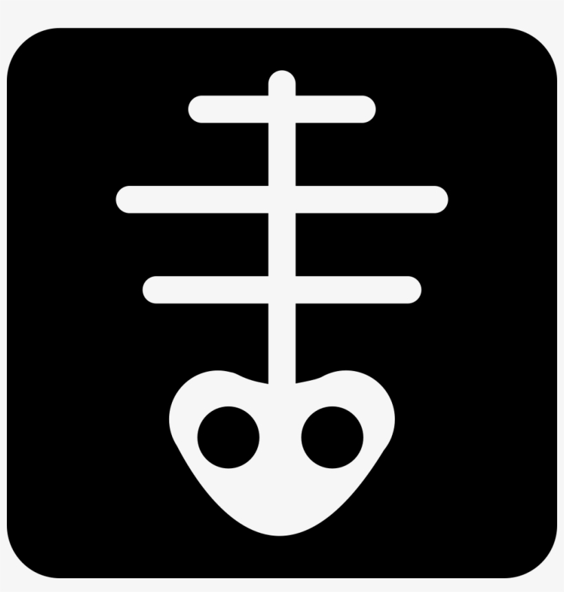 Png File Svg - X Ray Icon White Transparent PNG - 980x981 - Free ...