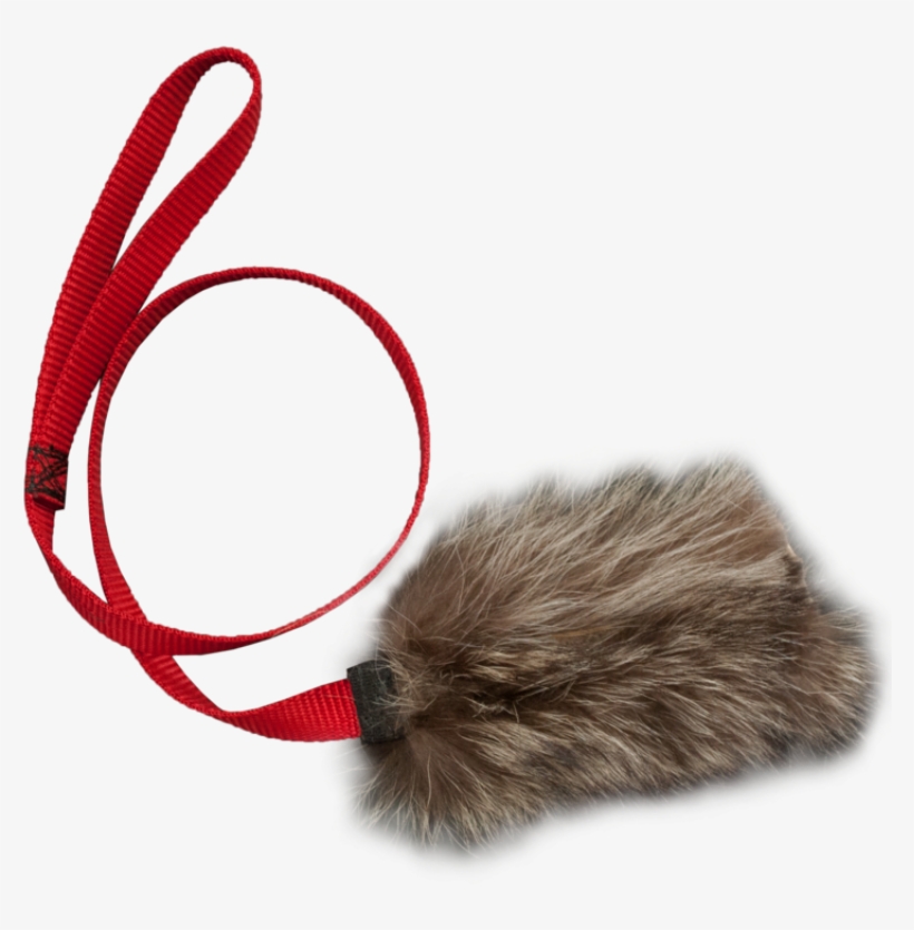 Toys Availability Transparent PNG - 800x800 - Free Download on NicePNG