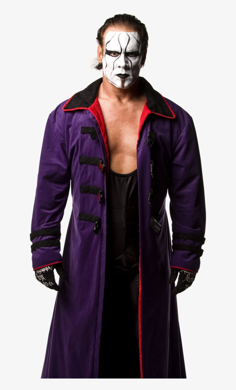 Download Sting Png - HD Transparent PNG - NicePNG.com