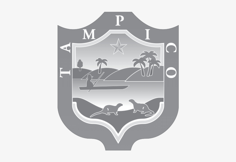 Tampico Transparent PNG - 600x600 - Free Download on NicePNG