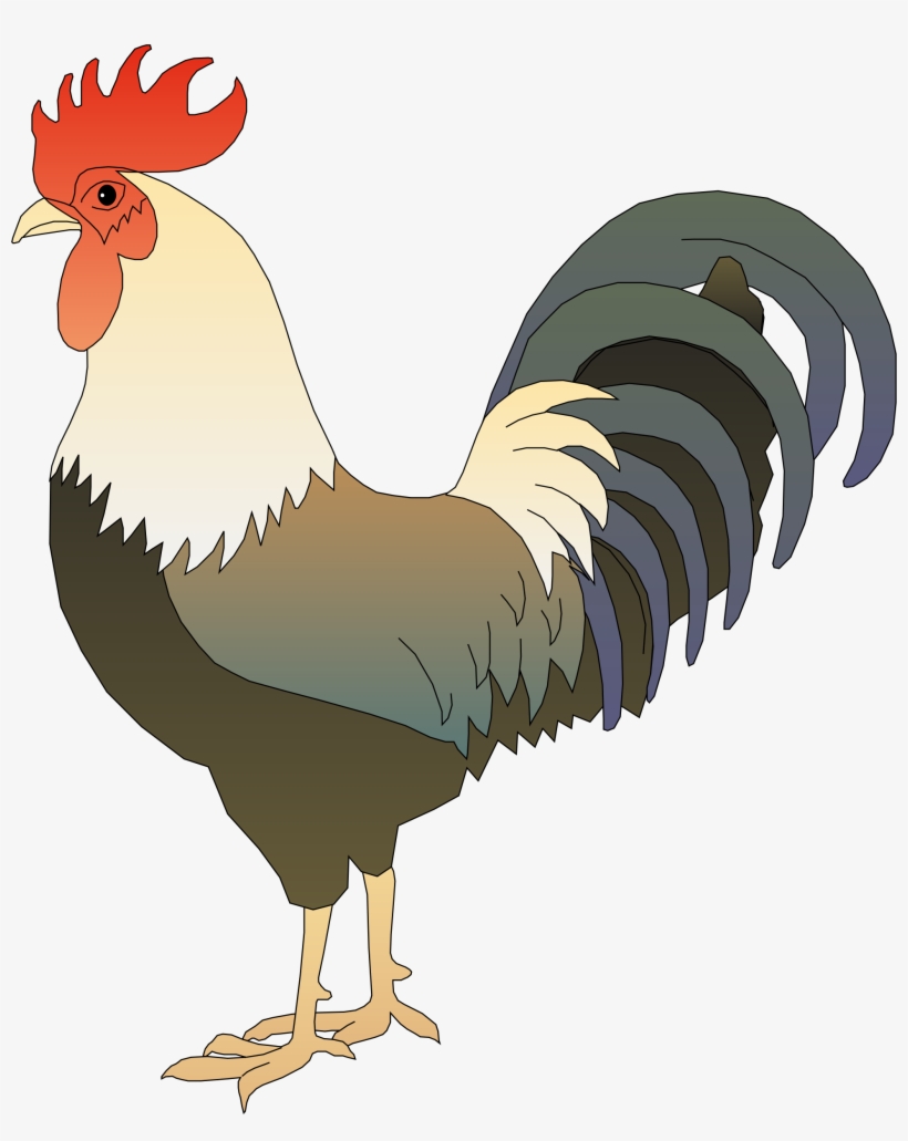 Hen Clipart Rooster - Rooster Clipart Transparent PNG - 1947x2355 ...