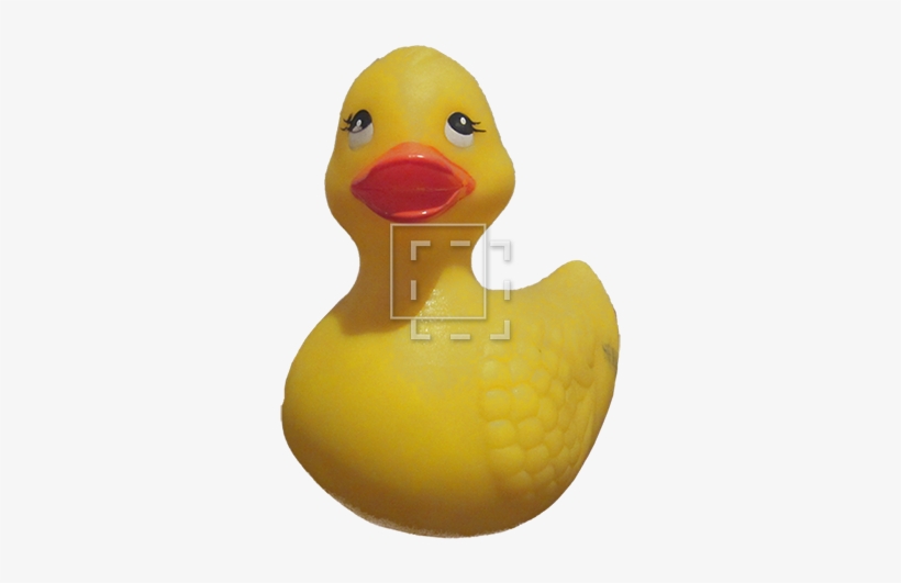 Rubber Ducky - Openclipart Transparent PNG - 450x450 - Free Download on ...