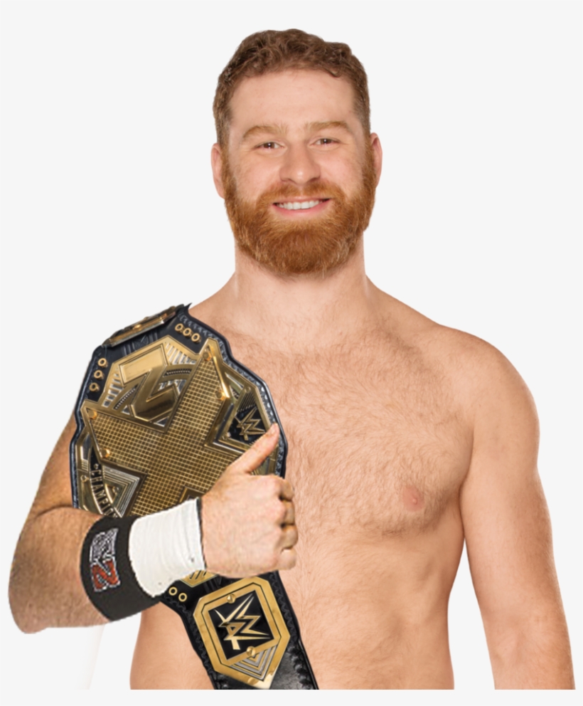 Sami Zayn Nxt Champion Png - Sami Zayn Us Champion Transparent PNG - 829x963 - Free Download on ...