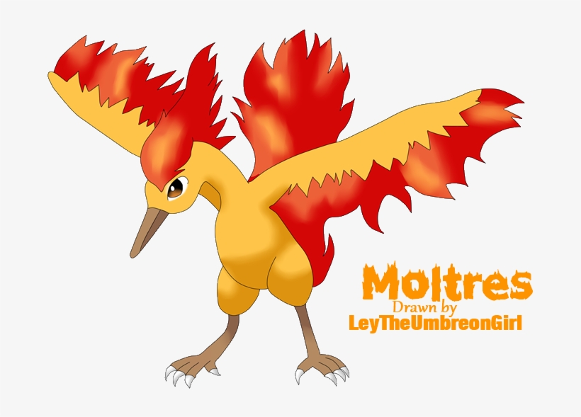 Moltres Png - Cartoon Transparent PNG - 846x599 - Free Download on NicePNG