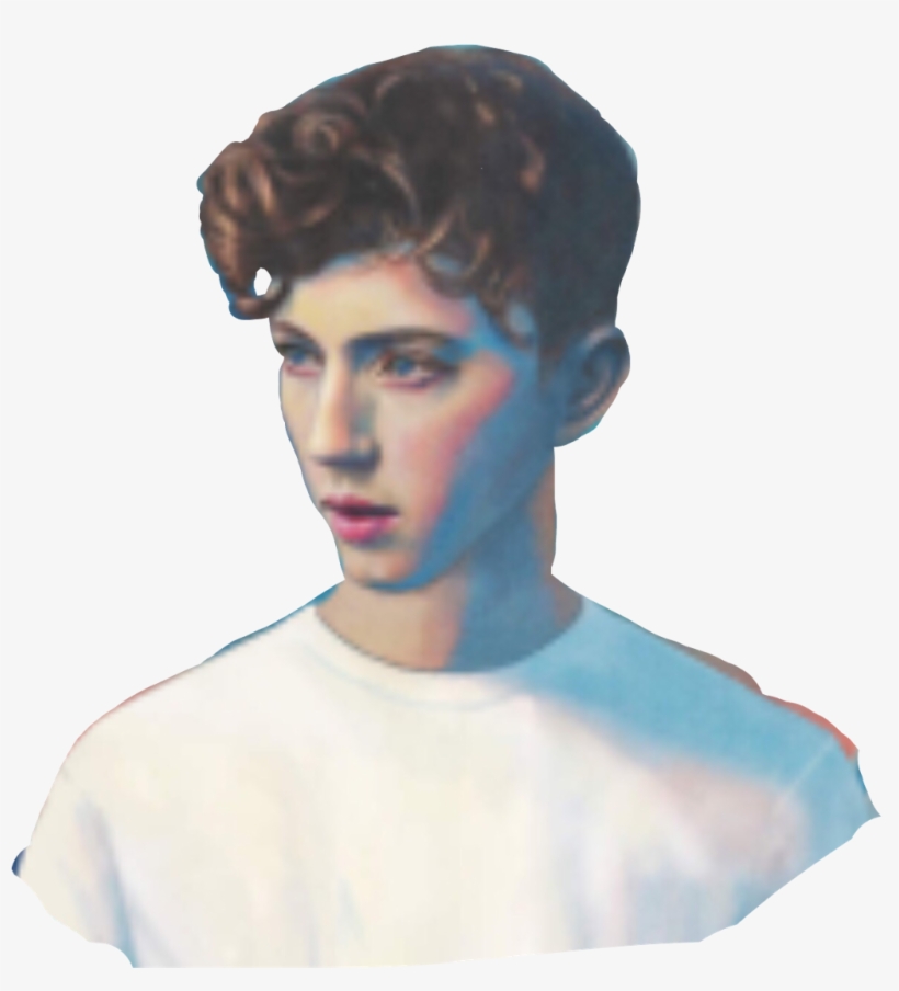 Troyesivan Sticker - Troye Sivan Png Aesthetic Transparent PNG ...