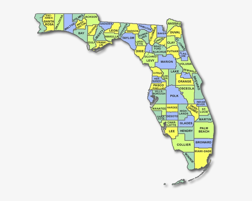Download Florida County Map - Map Of Florida - HD Transparent PNG ...