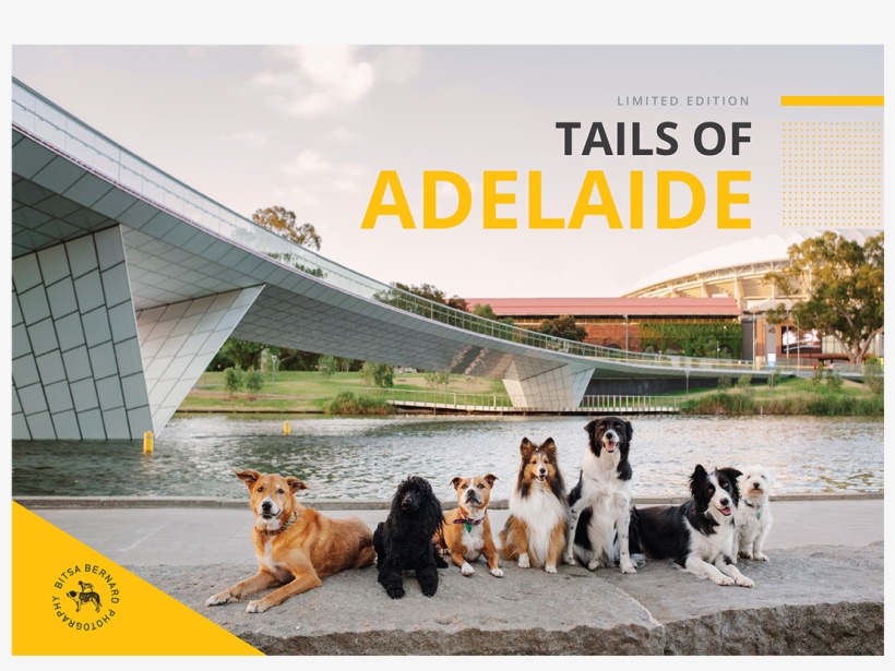 Tails Png Transparent PNG - 1080x1080 - Free Download on NicePNG