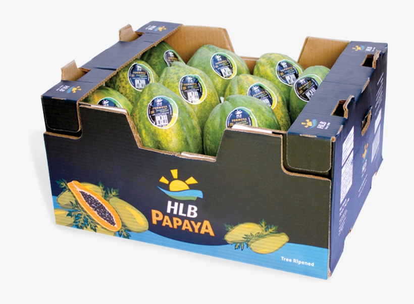 Papaya Formosa - Formosa - Packaging And Labeling Transparent PNG ...