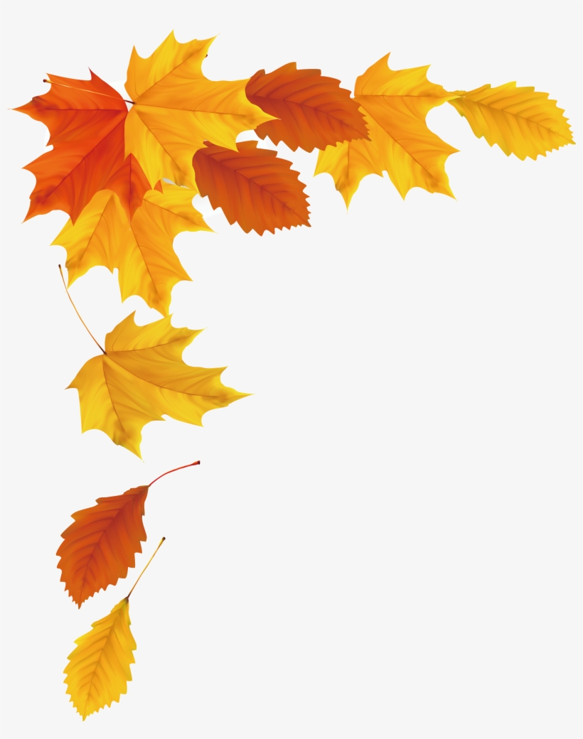 Jpg Free Download Autumn Vector - Autumn Vector Png Transparent PNG ...