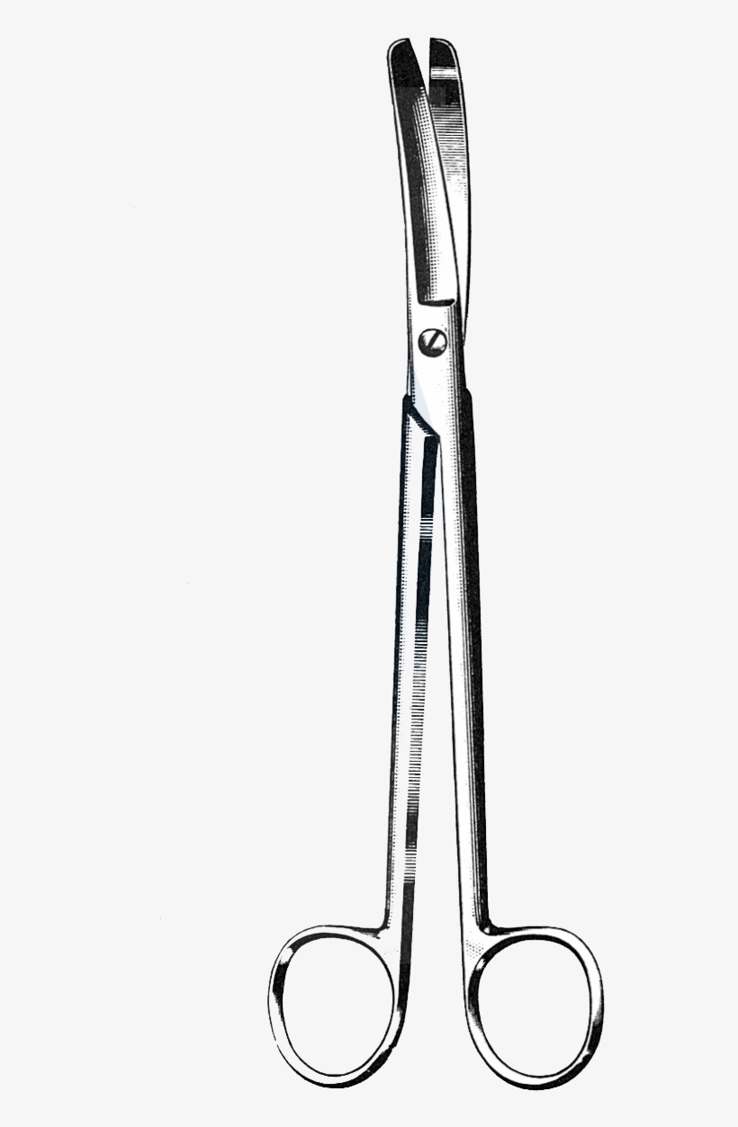 Sims Uterine Scissors, Curved, Blunt/blunt 8" - Surgical Instruments ...