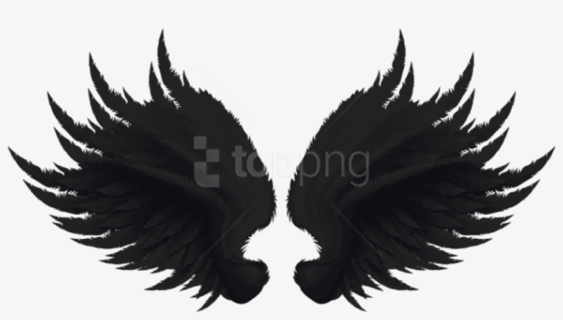 Download Black Wings Transparent Clipart Png Photo - Wings Art Black ...