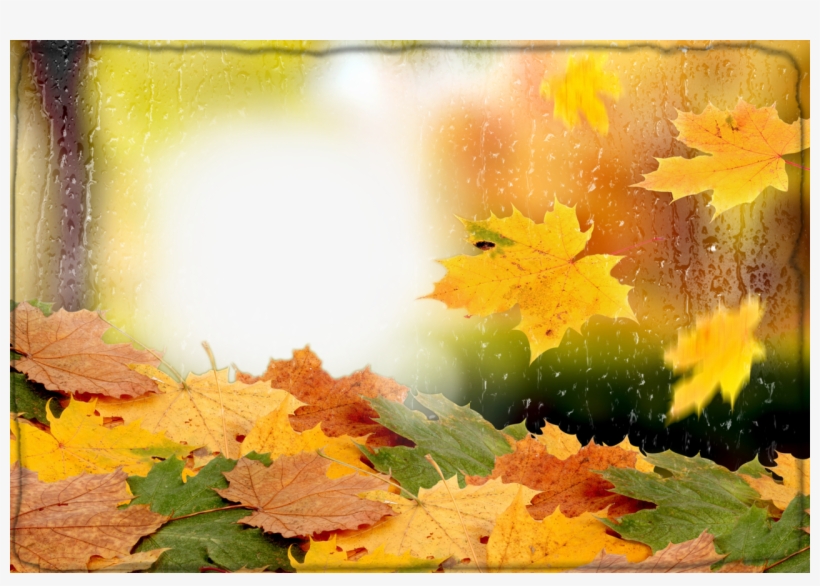 Fall Welcome Backgrounds