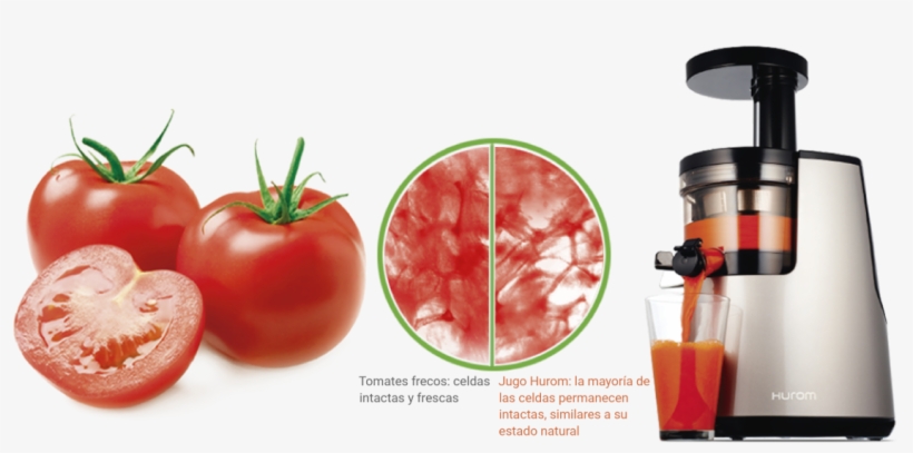 El Exprimido Suave De Hurom Conserva El Sabor Puro - Hurom Logo ...
