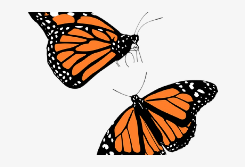 Free Monarch Butterfly Clipart
