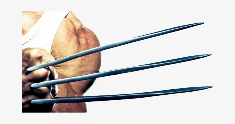 Wolverine Claw - Wolverine Claw Png Transparent PNG - 666x354 - Free ...
