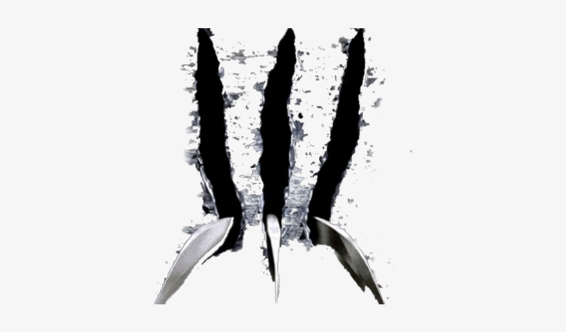 Chad Veloso - Wolverine Scratch Transparent PNG - 400x400 - Free ...