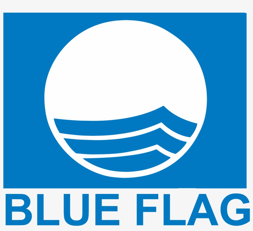 Image - Blue Flag Logo Png Transparent PNG - 2250x1813 - Free Download ...