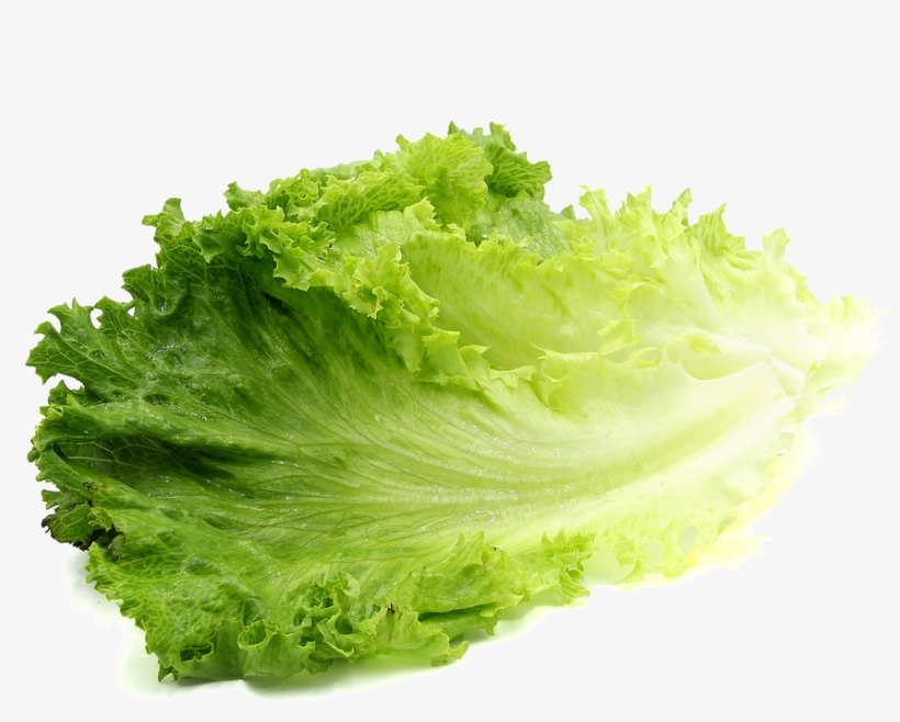 Romaine Lettuce Png Transparent Image - Lettuce Transparent PNG ...