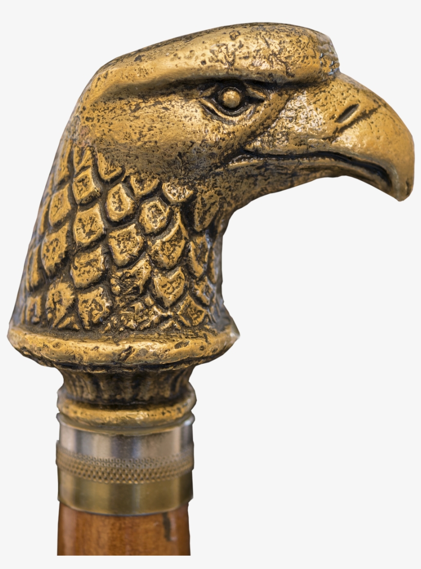Eagle Head Brass Old - Hawk Transparent PNG - 1280x1252 - Free Download ...