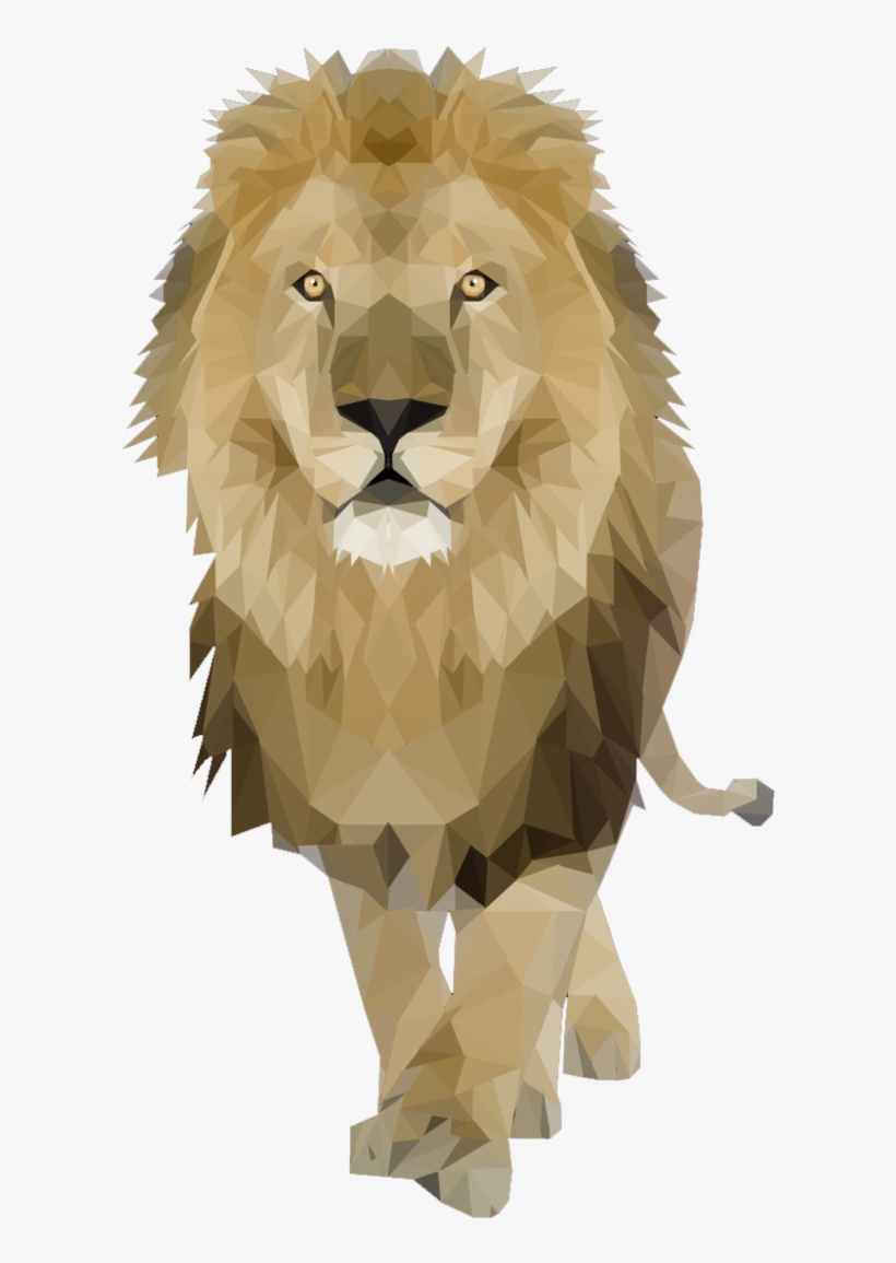Lion-geometric Transparent PNG - 1000x1267 - Free Download on NicePNG