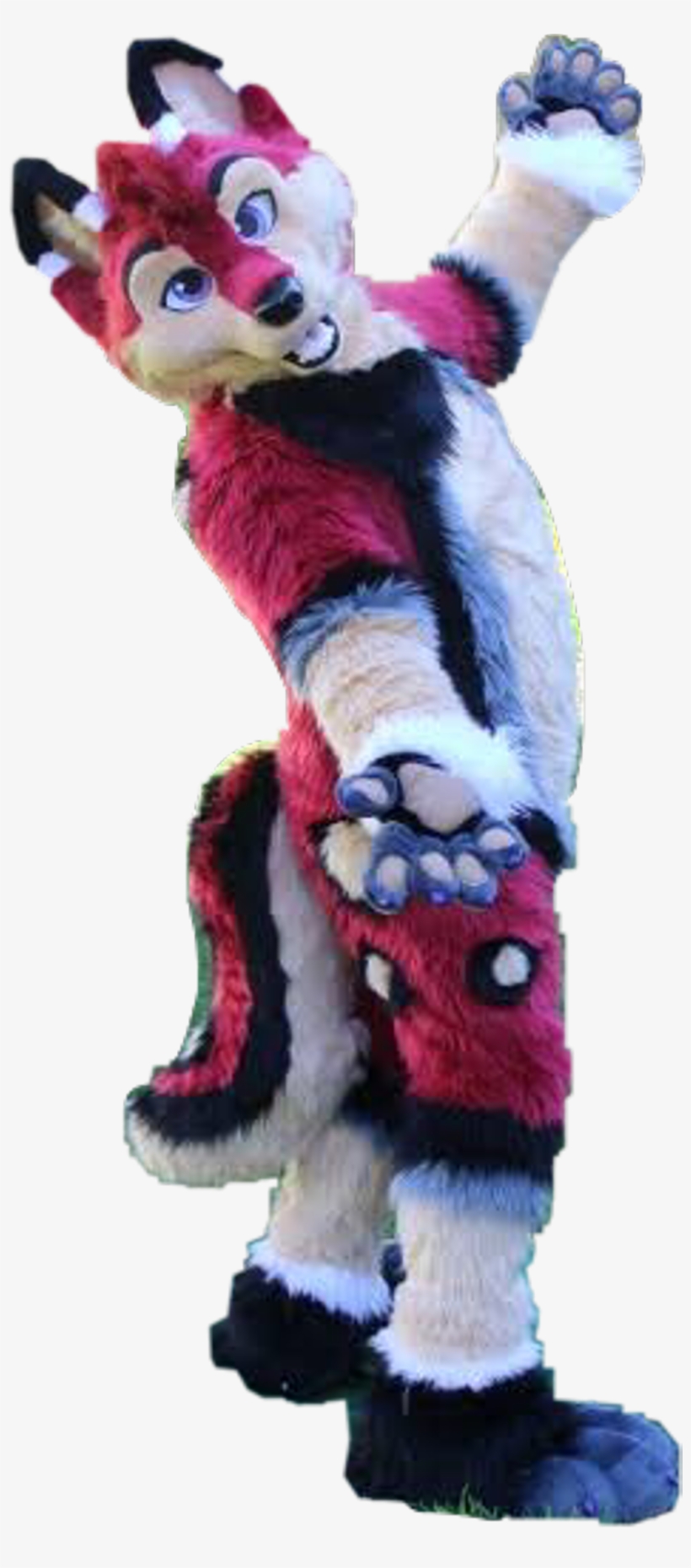 Download #bookerfox #furries #fursuit #fursona #furry #furryfandom ...