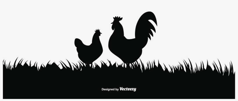 Vecteezy Transparent PNG - 2917x1105 - Free Download on NicePNG