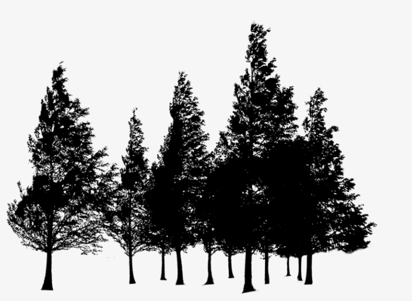 Transparent Forest Transparent PNG - 1066x831 - Free Download on NicePNG