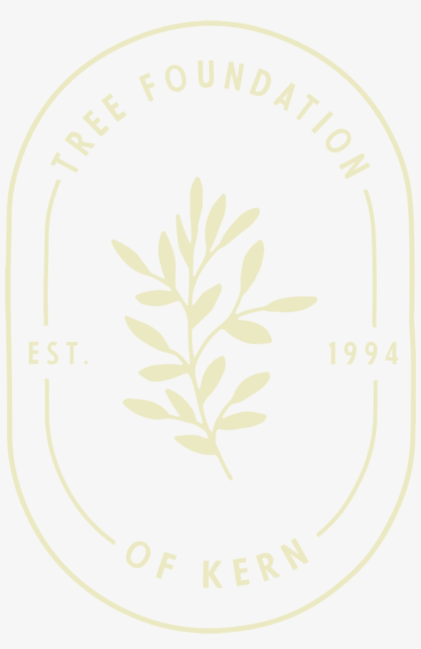 Tfk Logo Light-green - Emblem Transparent PNG - 1000x1492 - Free ...