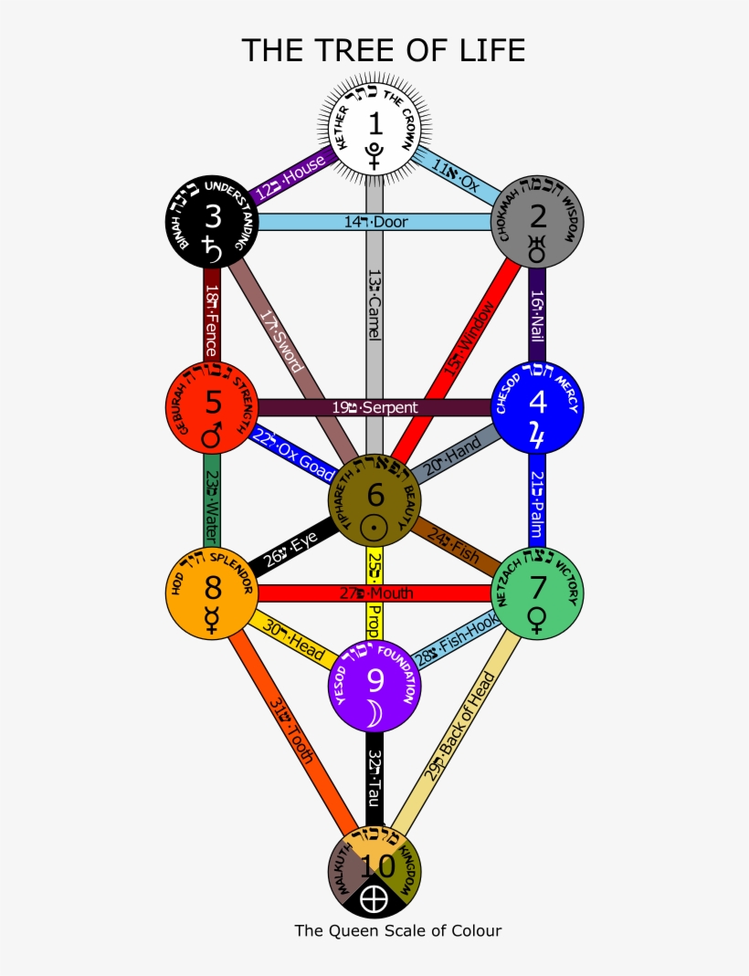 Download Tree Of Life Queens Colours - Tree Of Life And Tarot Cards ...