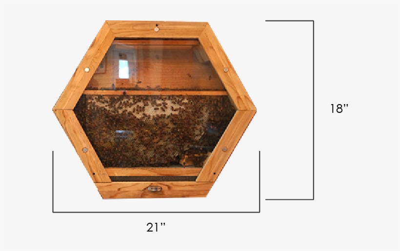 642 X 513 3 - Octagon Beehive Transparent PNG - 642x513 - Free Download ...