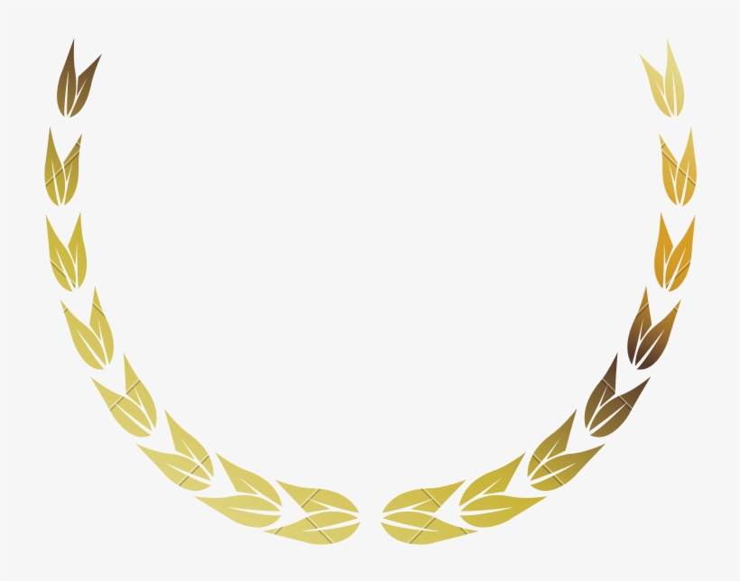 800 X 800 3 - Laurel Leaves Gold Transparent PNG - 800x800 - Free ...