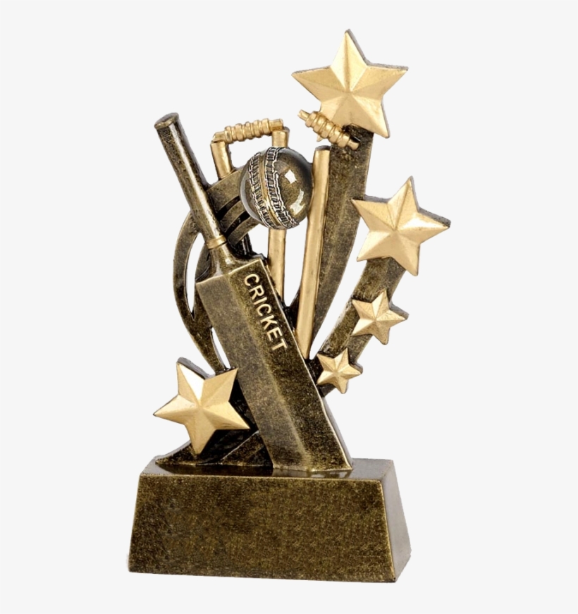 Guaranteed Workmanship - Awards In Cricket Transparent PNG - 465x791 ...