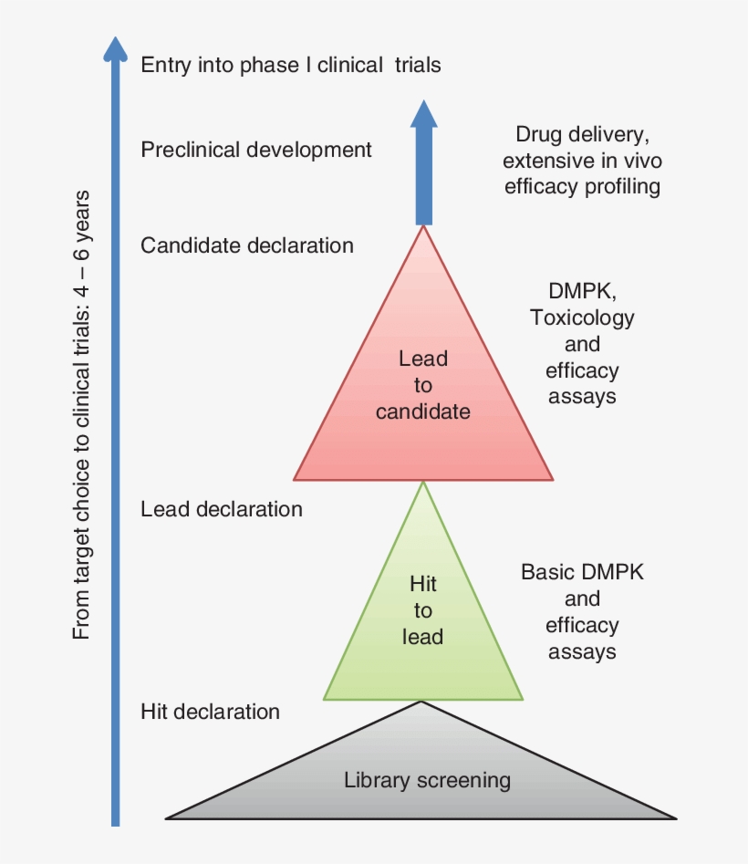 Outline Diagram Of A Drug Discovery Funnel - Diagram Transparent PNG ...