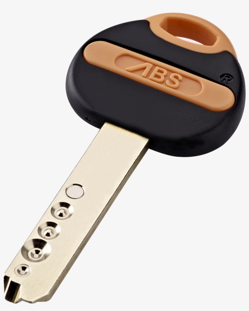 Avocet Abs Transparent PNG - 2000x2425 - Free Download on NicePNG