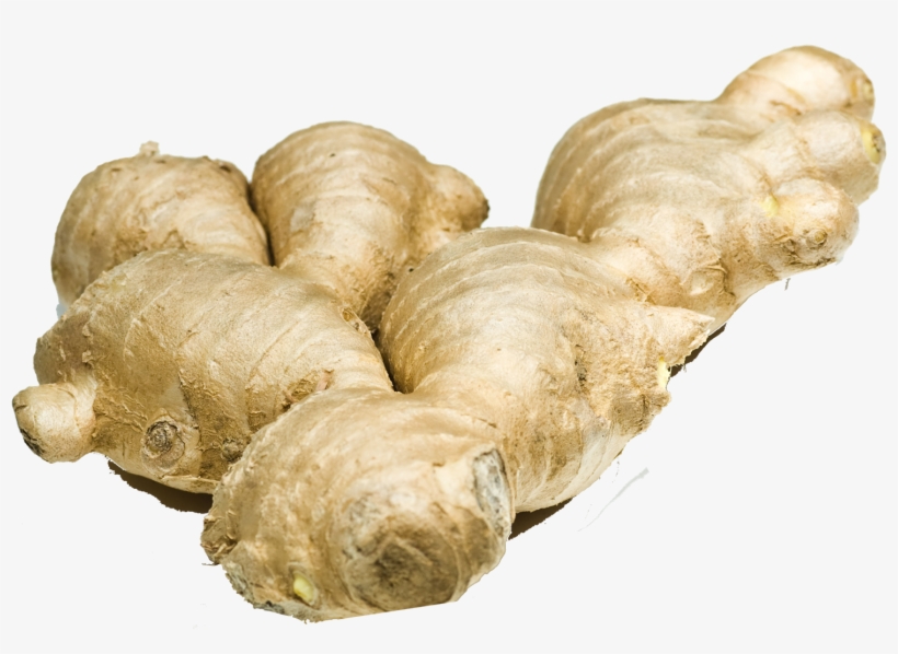 Ginger Download Free Png - Ginger Root Transparent PNG - 1600x1067 ...