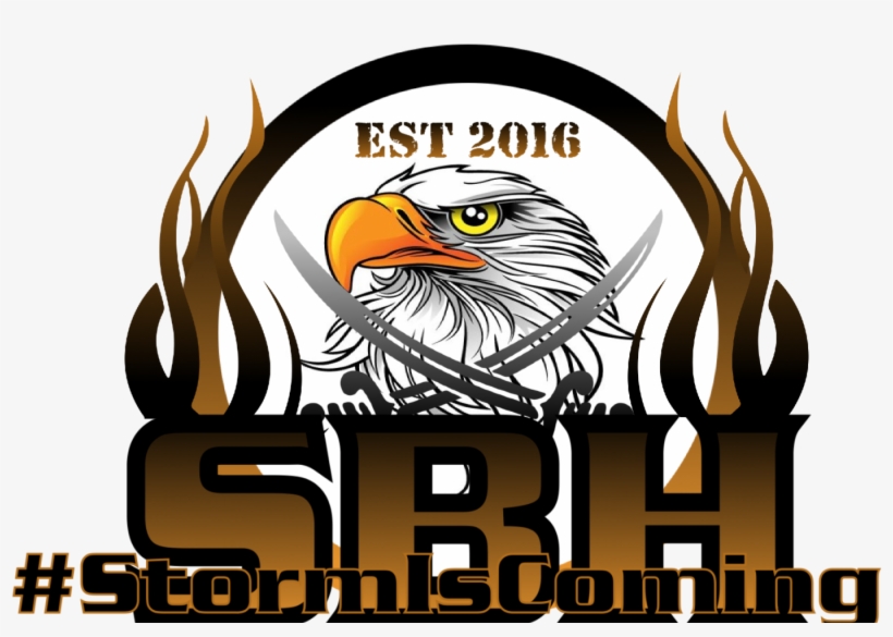 Sbh Logo 301218 - Bald Eagle Transparent PNG - 1660x934 - Free Download ...